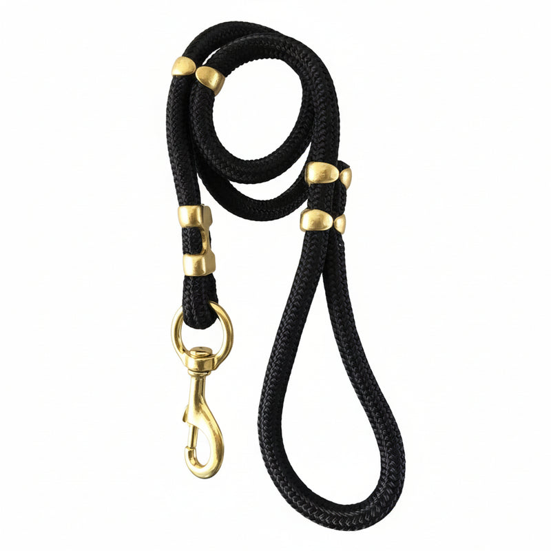 Best Dog Leashes 2026: Standard, Retractable & Training Leashes ...
